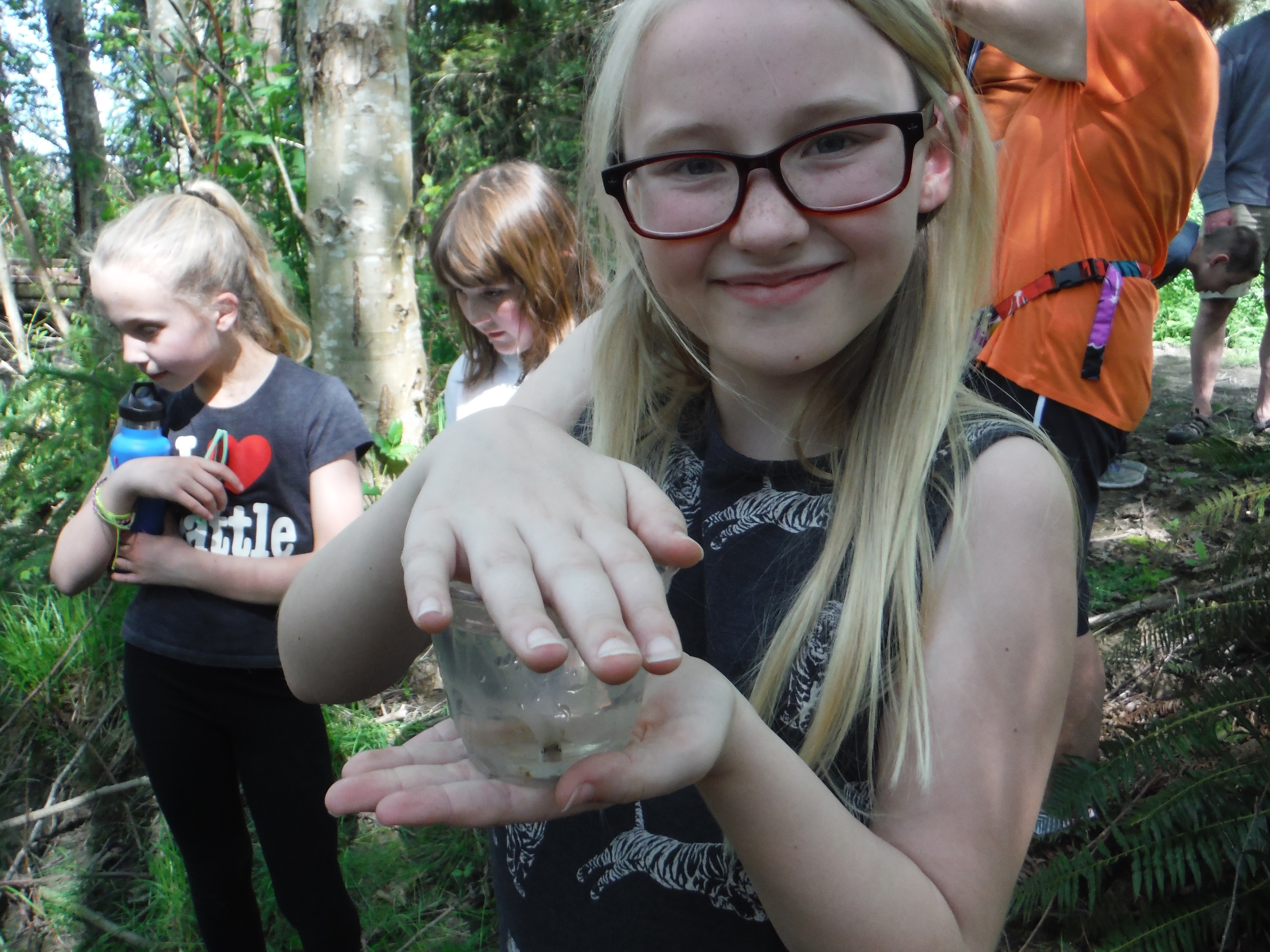 Salmon In Schools Program Skagit Fisheries Enhancement Group