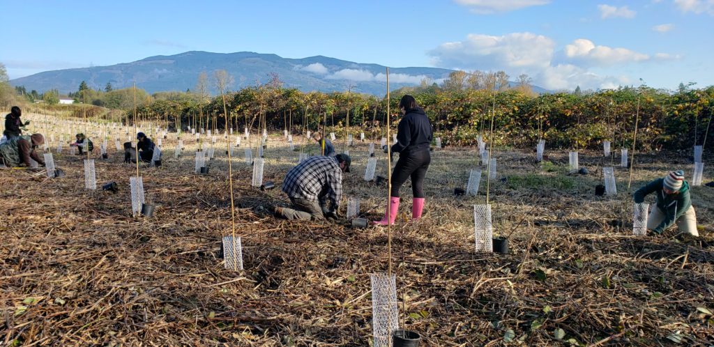 Riverfront Planting Party - Skagit Fisheries Enhancement Group