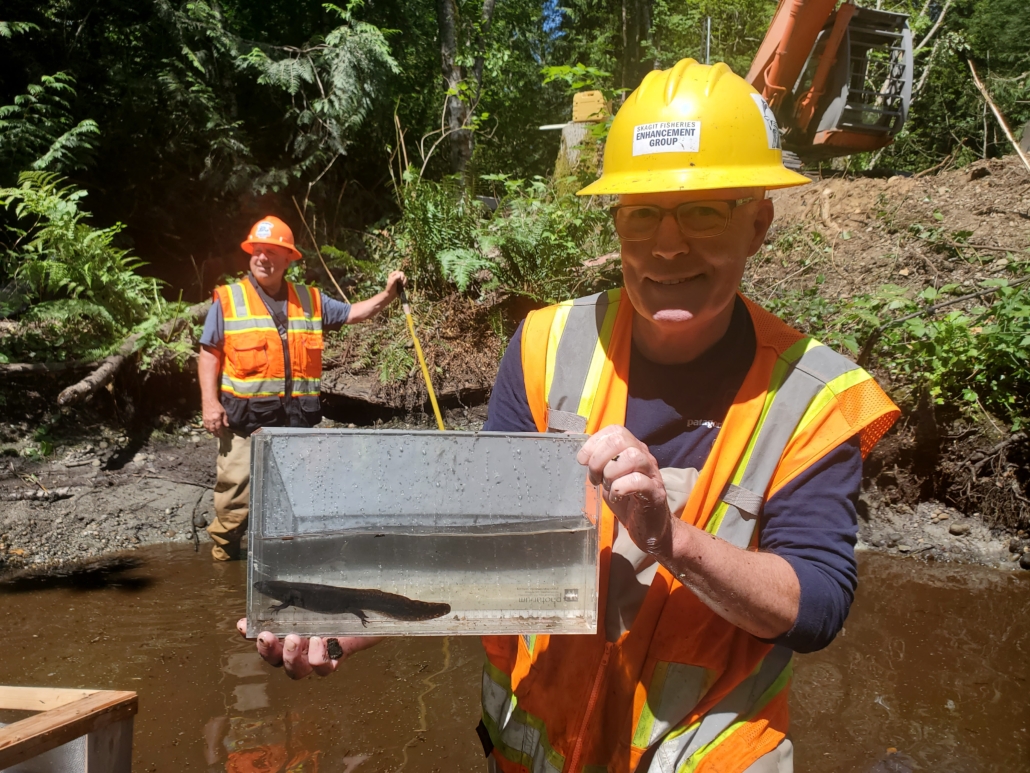 Project Spotlight: Starbird Creek Fish Passage Improvement - Skagit ...